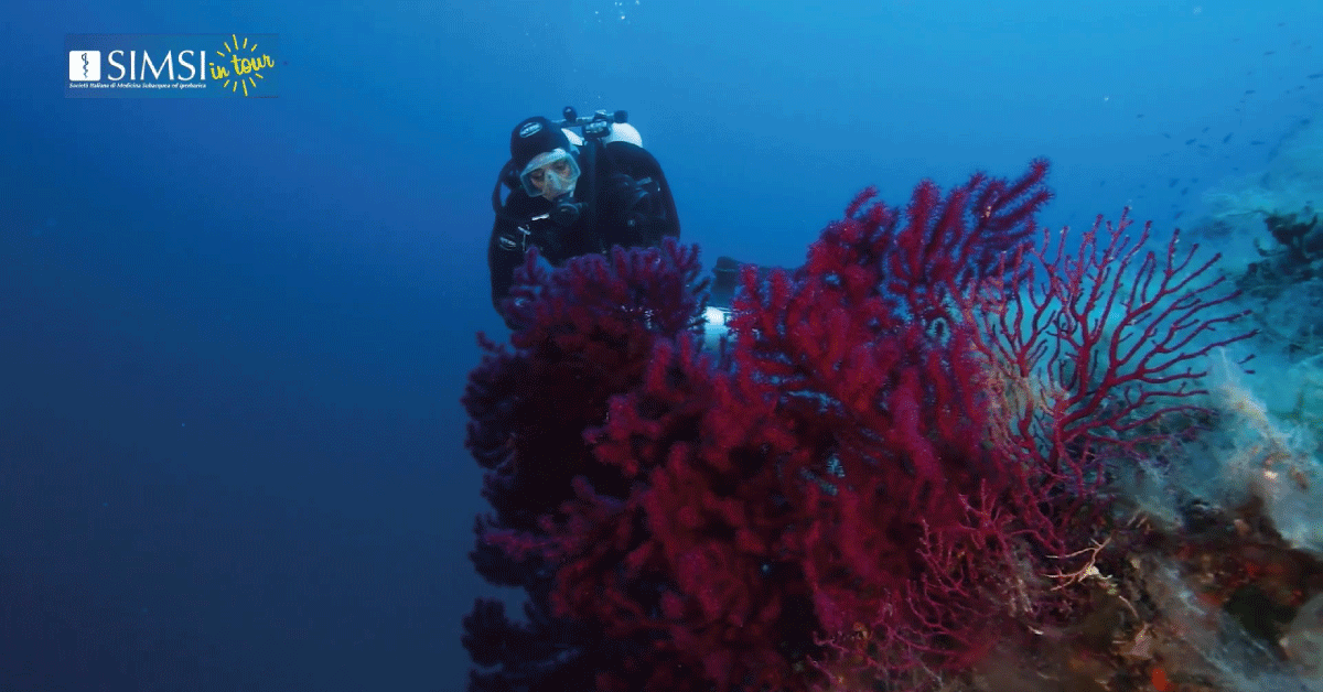 Il Reportage della quarta tappa di SIMSI in tour all’Argentario - SIMSI
